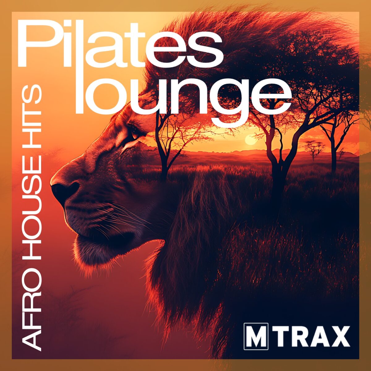 Pilates Lounge - Afro House Hits | MTrax Fitness Music
